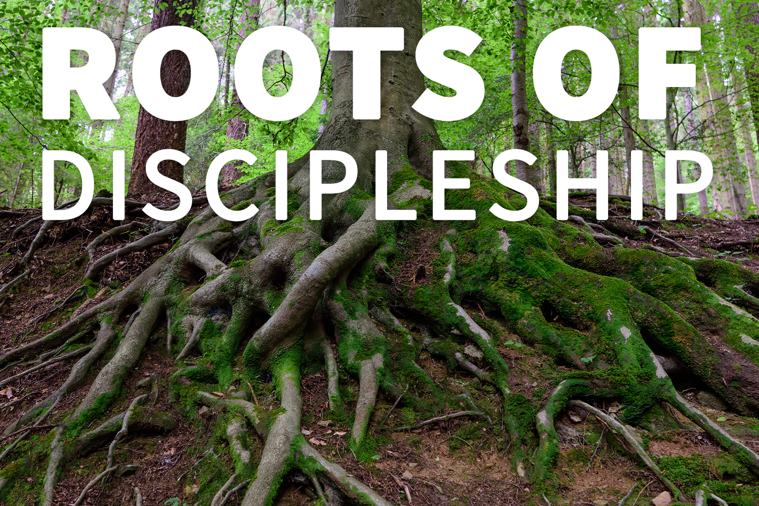 Events from July 19 – October 9, 2024 | Hennepin Avenue United ...