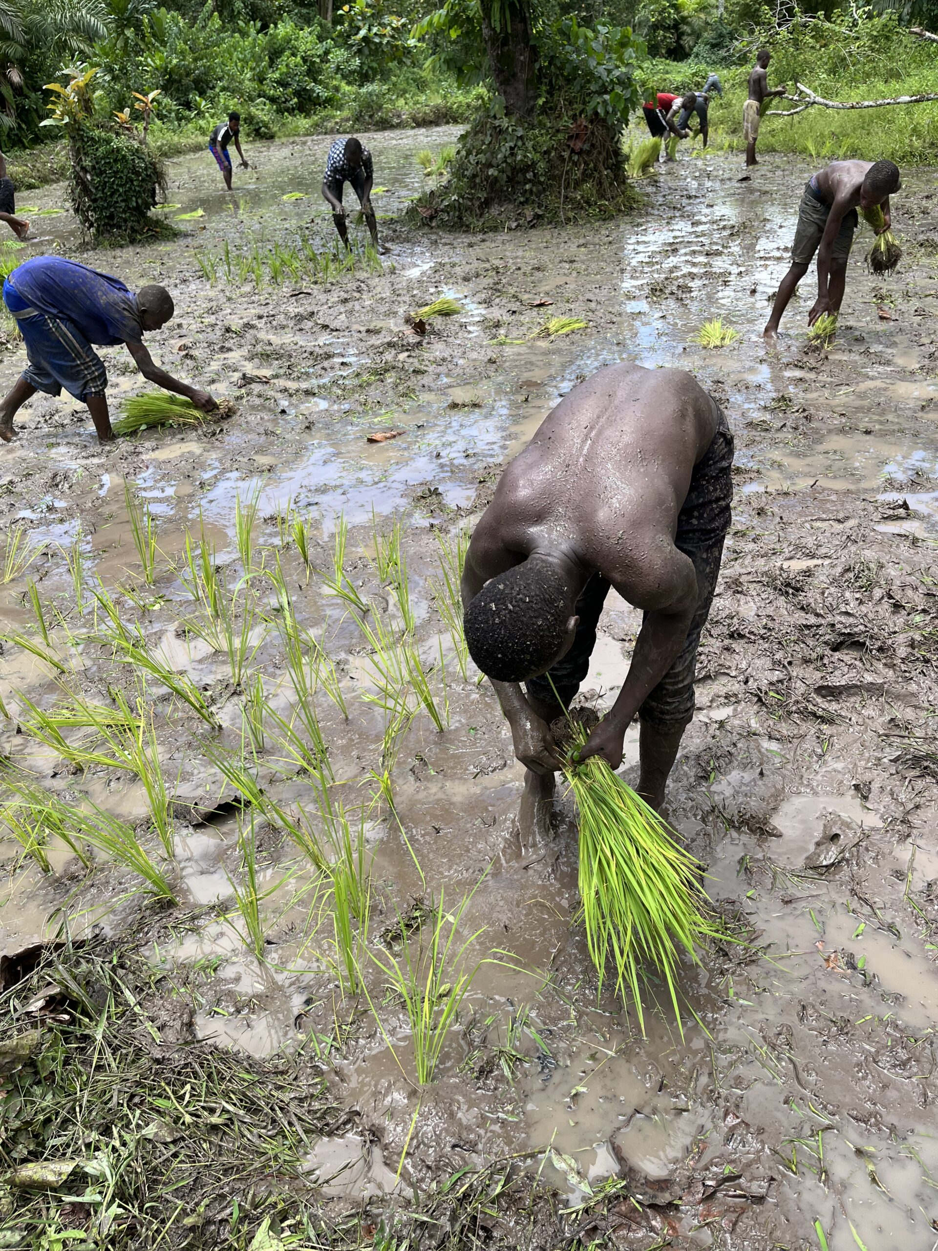 Celebrating 35 Years of Transforming Lives: The Impact of Richard ...