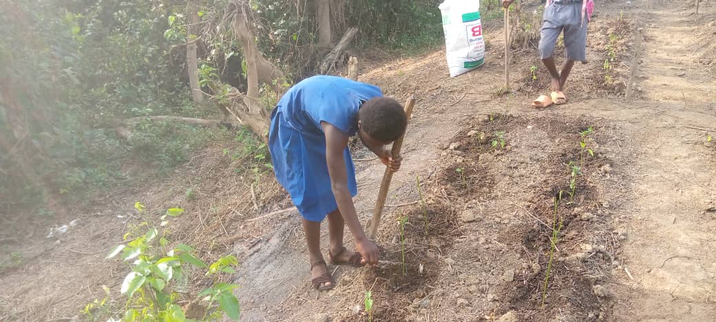 Celebrating 35 Years of Transforming Lives: The Impact of Richard ...